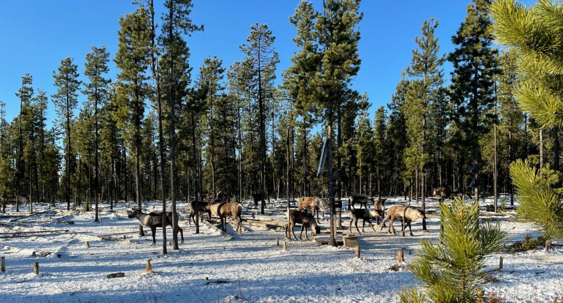 Jake Worrall – We move what we're learning from our heads to our hearts ...