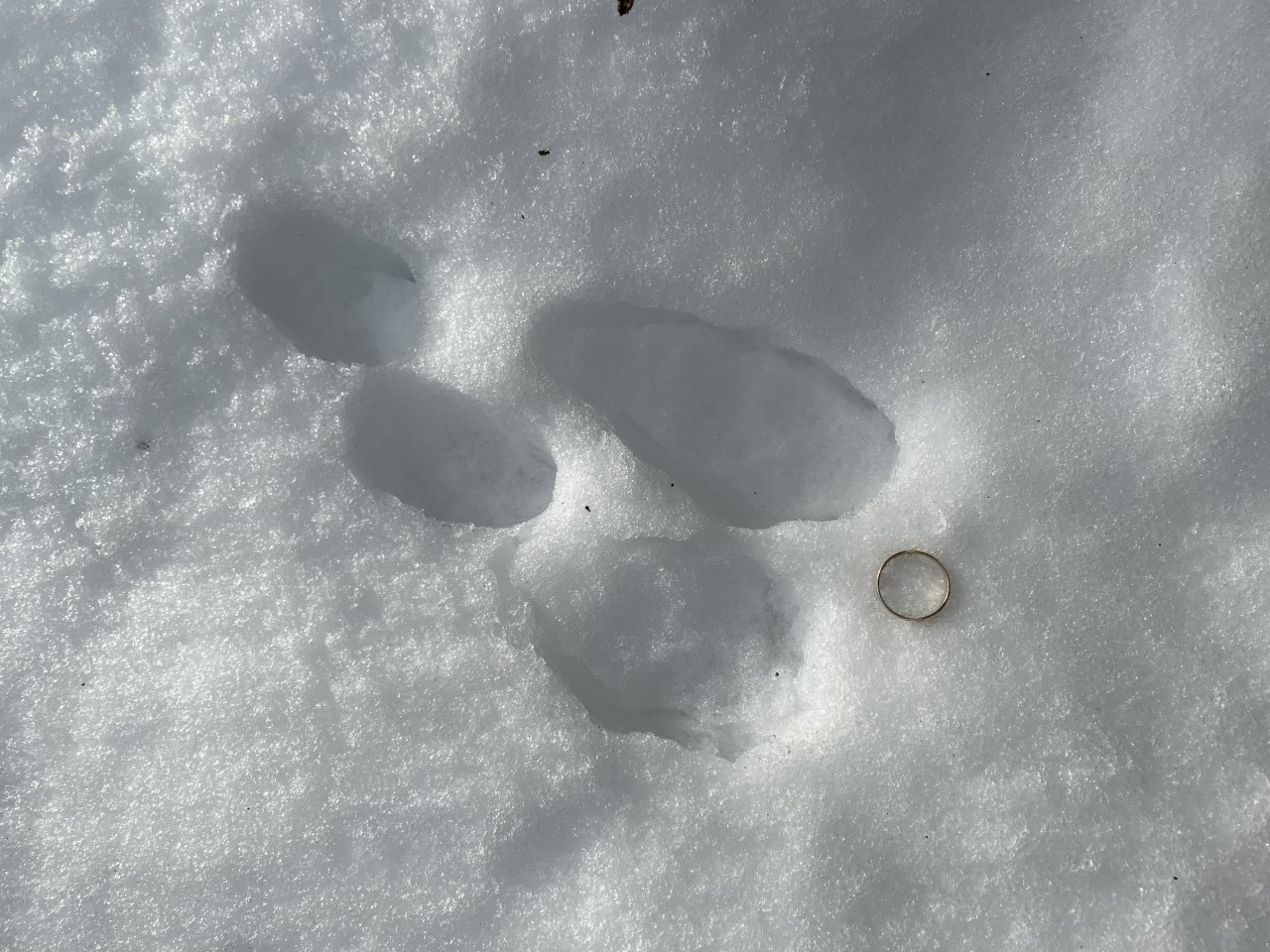 Outdoor Education – Jake Worrall