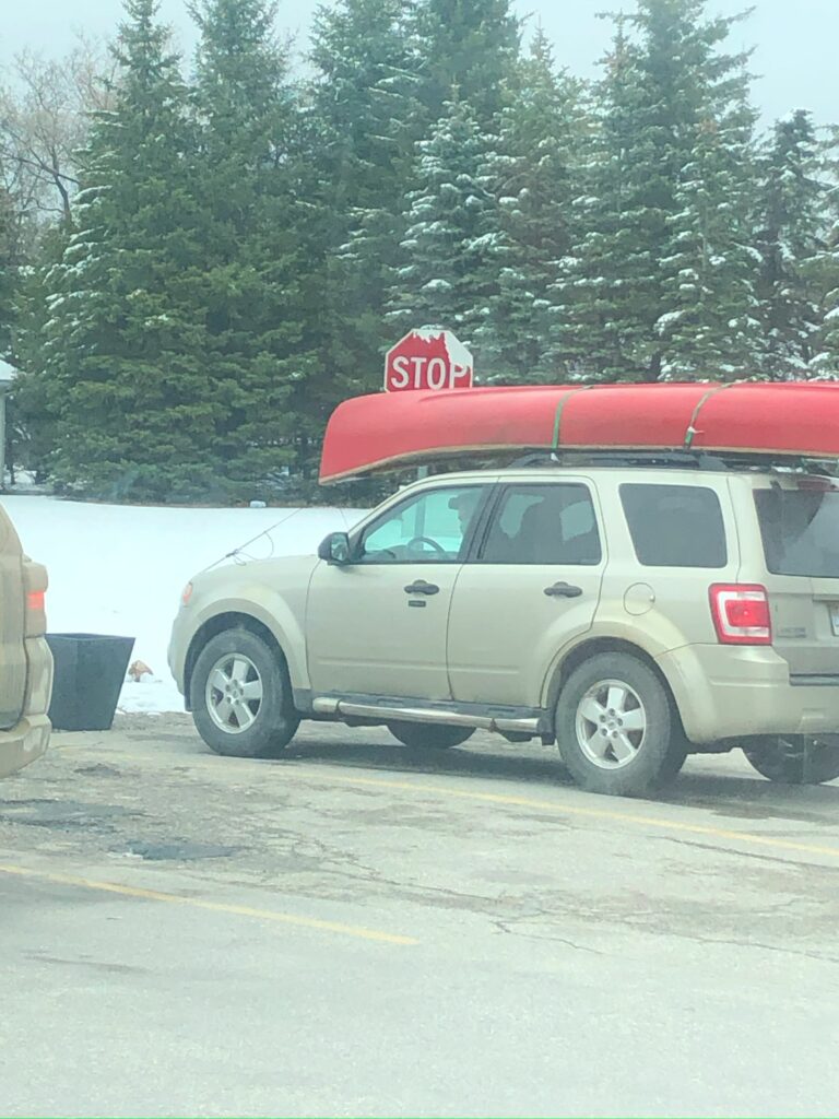 Canoe Restoration Project – Jake Worrall